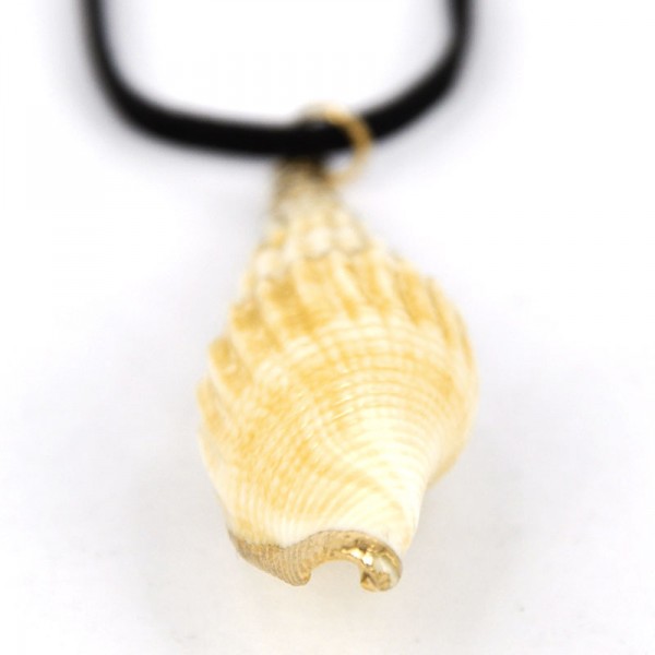 Long Sea Shell Pendant Necklace on Luulla